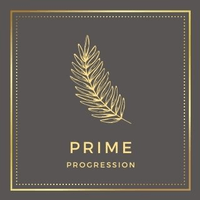 Meet The Team | Prime Progression